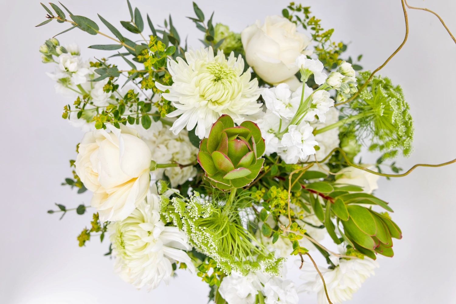 Bloom Floral • Mount Vernon, Washington – bLoom Floral Design